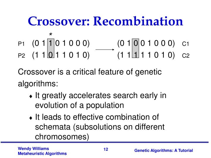 PPT - Genetic Algorithms: A Tutorial PowerPoint Presentation - ID:577314