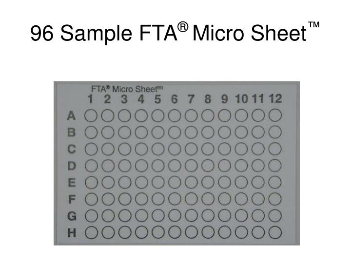 PPT - DNA EXTRACTION METHODS PowerPoint Presentation - ID:578920