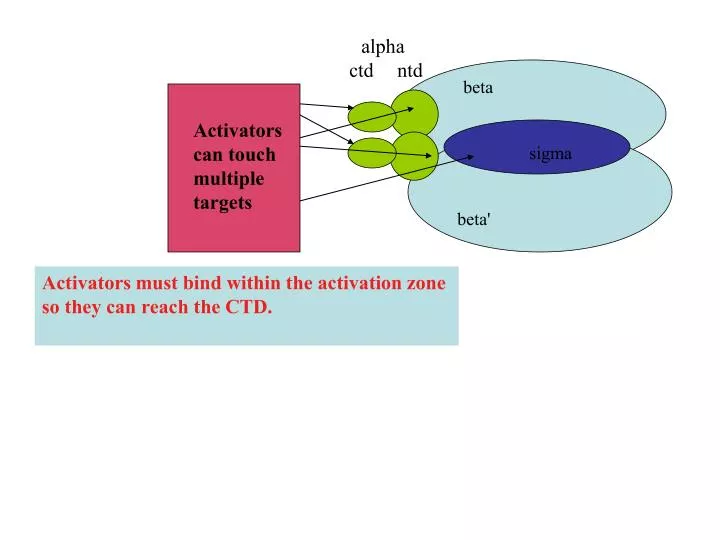 PPT - beta PowerPoint Presentation, free download - ID:579974