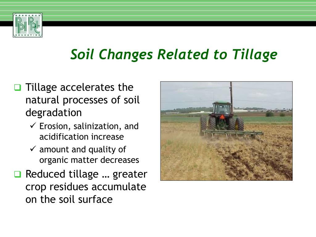 PPT - TILLAGE INTENSITY, CROP ROTATION, and FERTILIZER TECHNOLOGY for ...