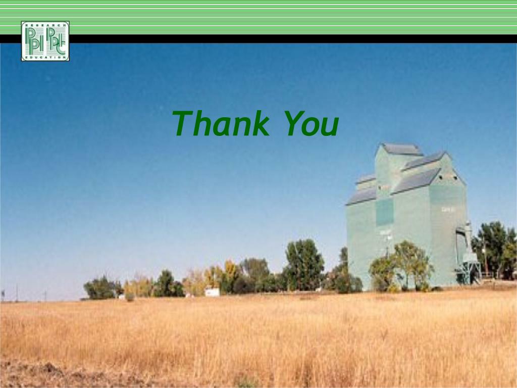 PPT - TILLAGE INTENSITY, CROP ROTATION, and FERTILIZER TECHNOLOGY for ...