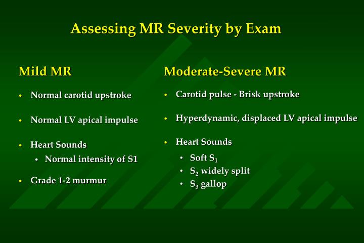 PPT - Cardiovascular Physical Exam Pearls PowerPoint Presentation - ID ...