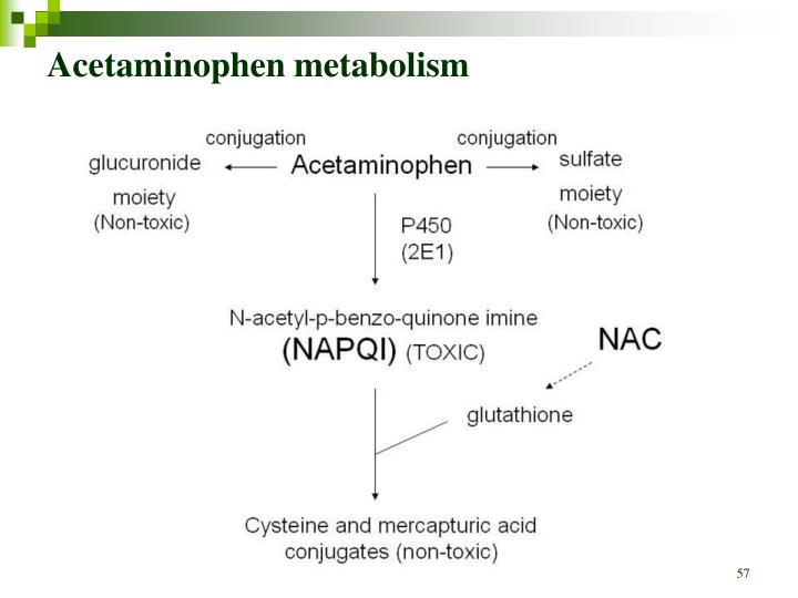 PPT - Chapter 19 OXIDATIVE PHOSPHORYLATION AND PHOTOPHOSPHORYLATION ...