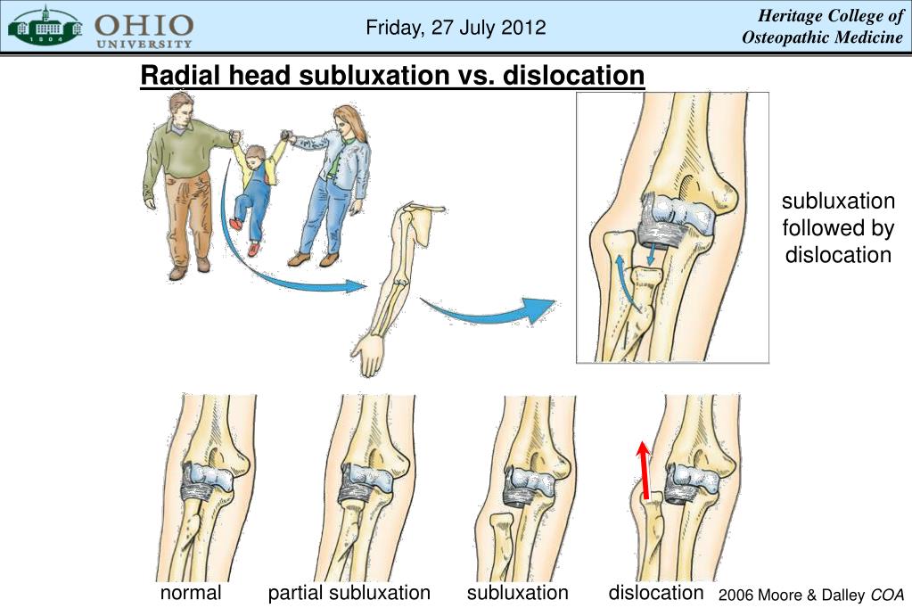PPT - Heritage College of Osteopathic Medicine PowerPoint Presentation ...