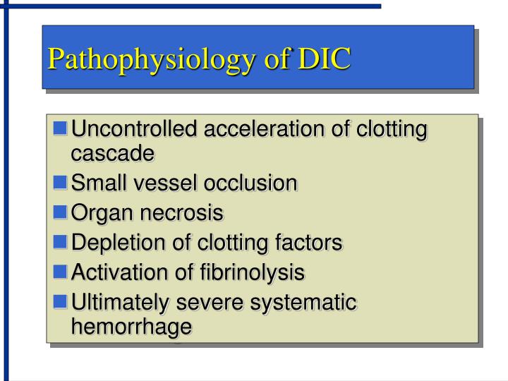 PPT - SHOCK , PATHOPHYSIOLOGY Prof.M.H.MUMTAZ. PowerPoint Presentation ...