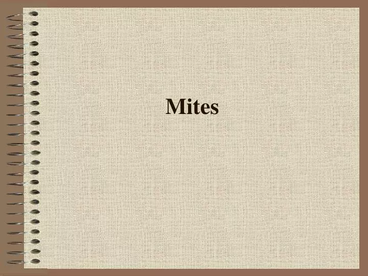 PPT - Mites PowerPoint Presentation, free download - ID:584254
