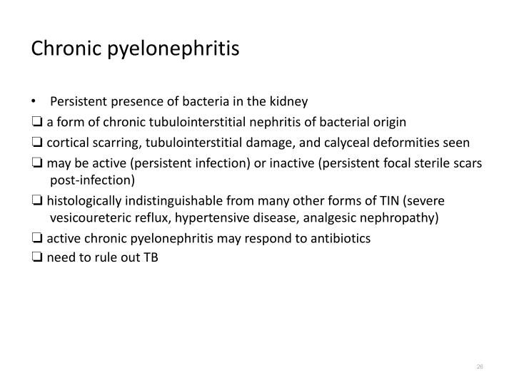 PPT - Pyelonephritis PowerPoint Presentation - ID:585144