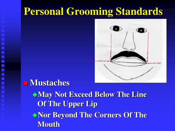 PPT - Professional Appearance PowerPoint Presentation - ID:58528