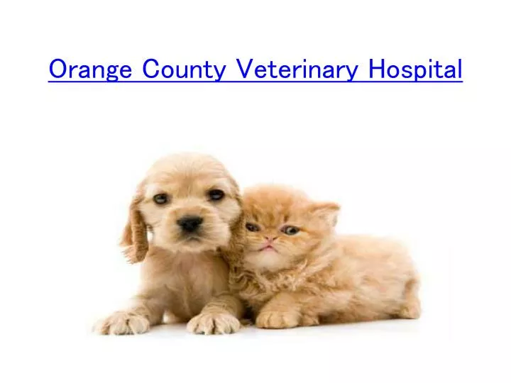 PPT - Orange County Veterinary Hospital PowerPoint Presentation, free ...