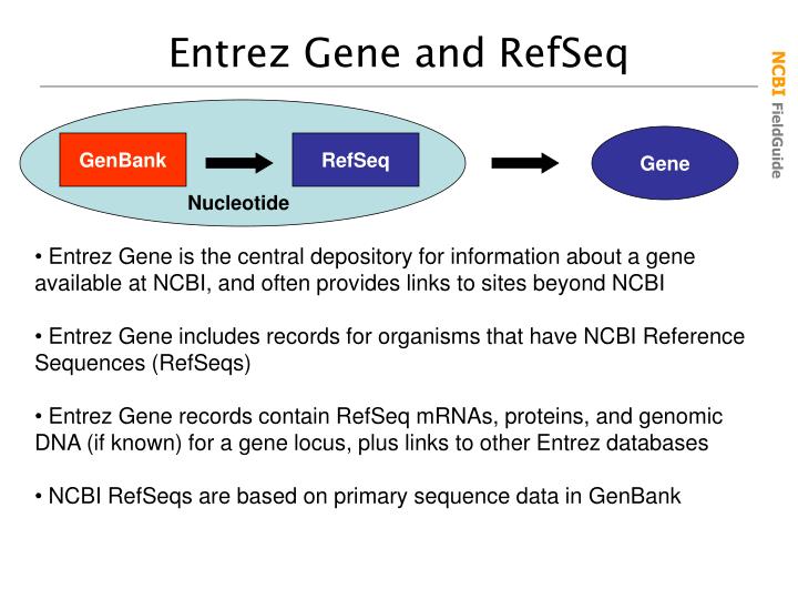 PPT - NCBI Molecular Biology Resources PowerPoint Presentation - ID:587308