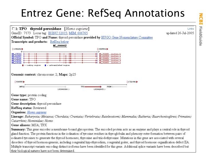 PPT - NCBI Molecular Biology Resources PowerPoint Presentation - ID:587308