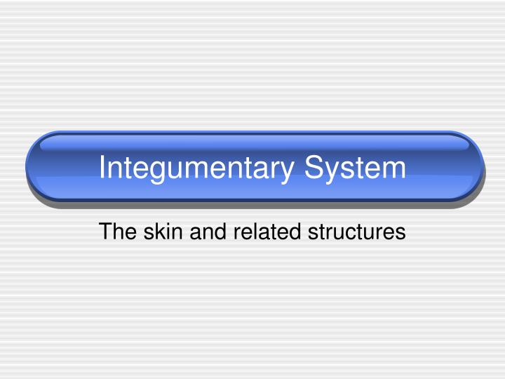 PPT - Integumentary System PowerPoint Presentation, free download - ID ...