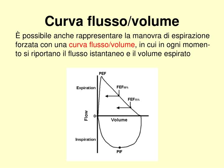 PPT - SEMEIOTICA GENERALE E FISICA DELL’APPARATO RESPIRATORIO ...