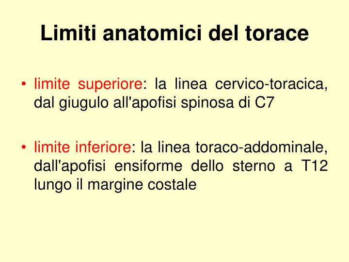 PPT - SEMEIOTICA GENERALE E FISICA DELL’APPARATO RESPIRATORIO ...