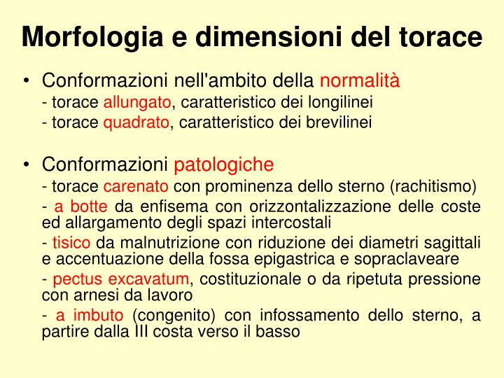 PPT - SEMEIOTICA GENERALE E FISICA DELL’APPARATO RESPIRATORIO ...