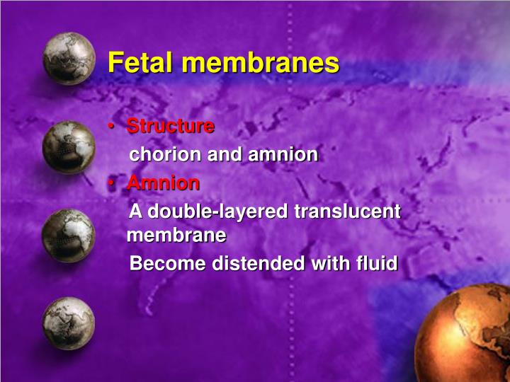 PPT - Physiology of Pregnancy PowerPoint Presentation - ID:588657