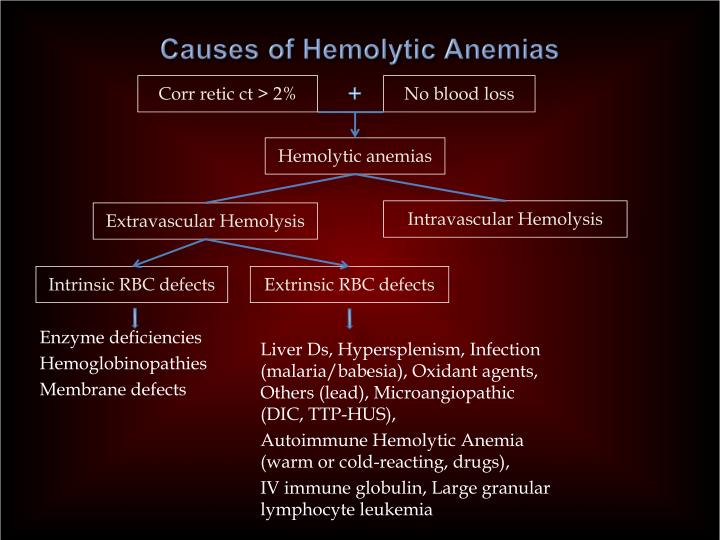 Ppt Hemolytic Anemias Powerpoint Presentation Id 588700