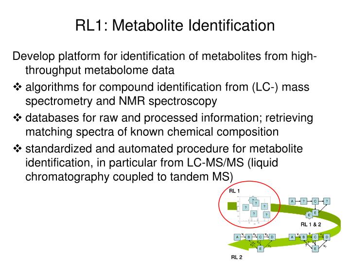 PPT - Bioinformatics for Metabolomics and Fluxomics PowerPoint ...