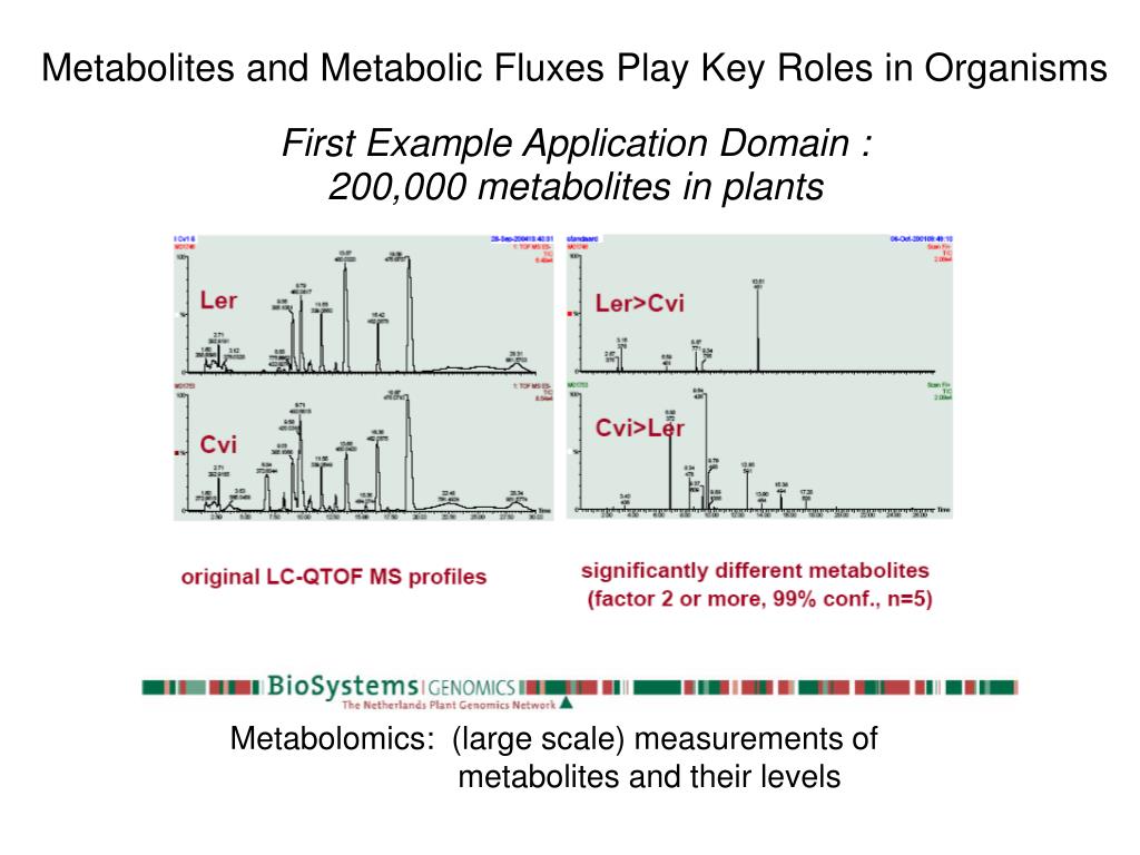 Ppt Bioinformatics For Metabolomics And Fluxomics Powerpoint