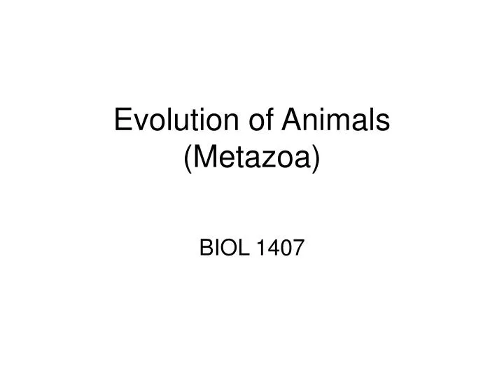 PPT - Evolution of Animals (Metazoa) PowerPoint Presentation, free ...