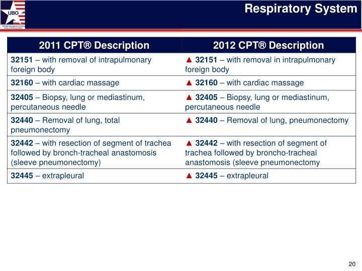 PPT - 2012 CPT®/HCPCS Codes Update Presented by: TMA UBO Program Office ...