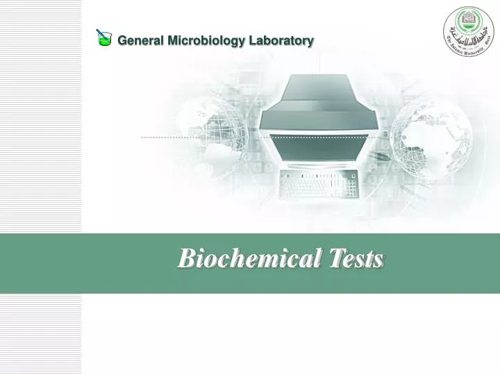 PPT - Biochemical Tests PowerPoint Presentation, free download - ID:591175