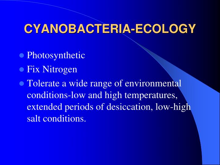 PPT - DIVERSITY OF PHYTOPLANKTON CYANOBACTERIA PowerPoint Presentation ...