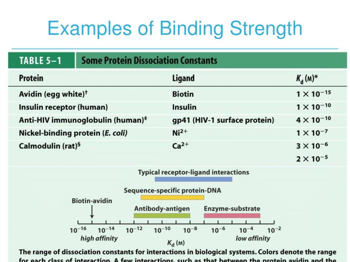 PPT - CHAPTER 5 Function of Globular Proteins PowerPoint Presentation ...