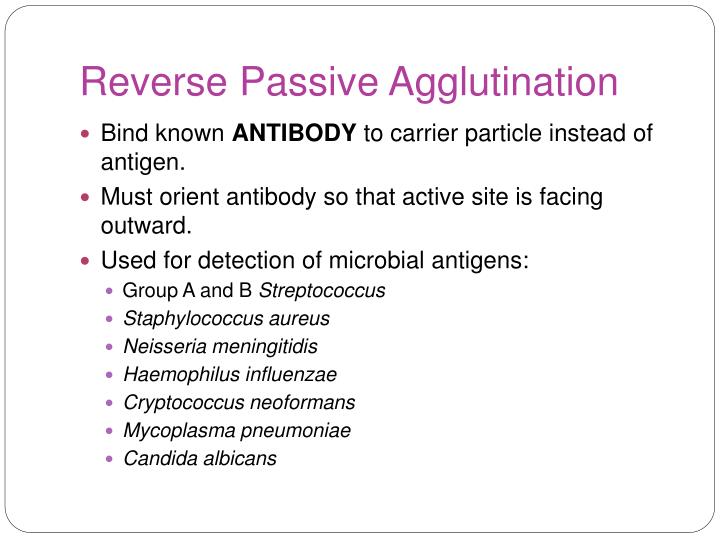 PPT - 2. Basic Immunologic Procedures Part 5 Agglutination PowerPoint ...