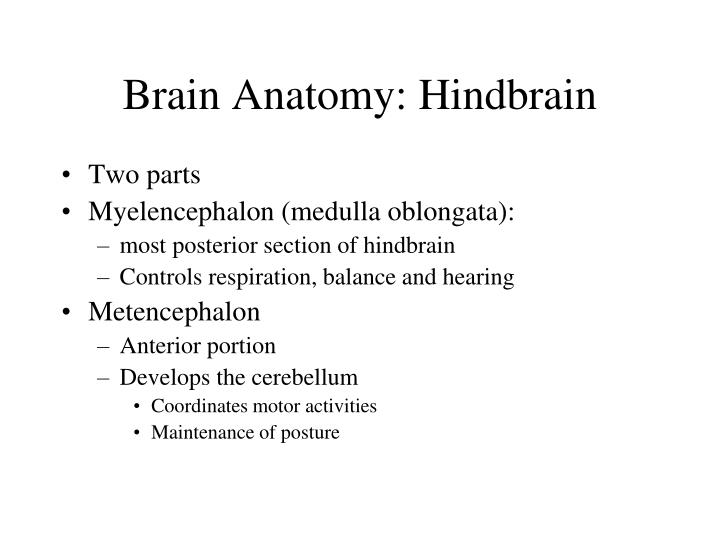 PPT - Vertebrate Relationships and Structure PowerPoint Presentation ...