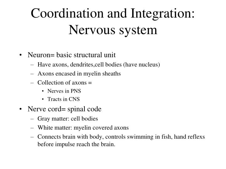PPT - Vertebrate Relationships and Structure PowerPoint Presentation ...