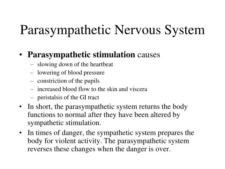 PPT - Vertebrate Relationships and Structure PowerPoint Presentation ...