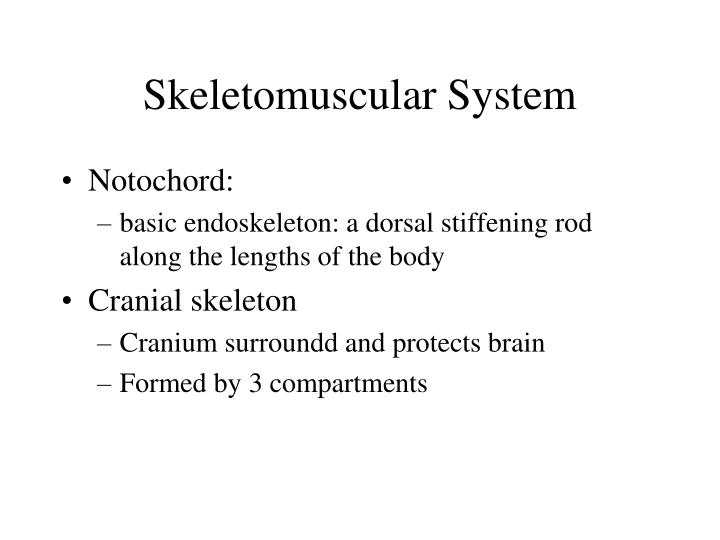 PPT - Vertebrate Relationships and Structure PowerPoint Presentation ...