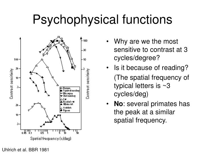 PPT - Psychophysics 4 PowerPoint Presentation - ID:592820