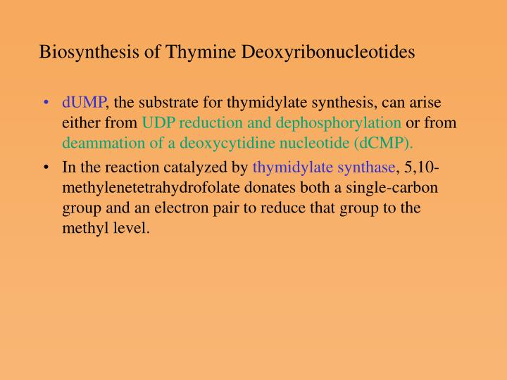 PPT - Nucleotide Metabolism PowerPoint Presentation - ID:593025