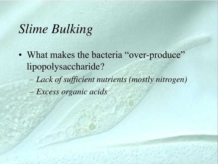 PPT - Slime, Slime, Slime! PowerPoint Presentation - ID:593803