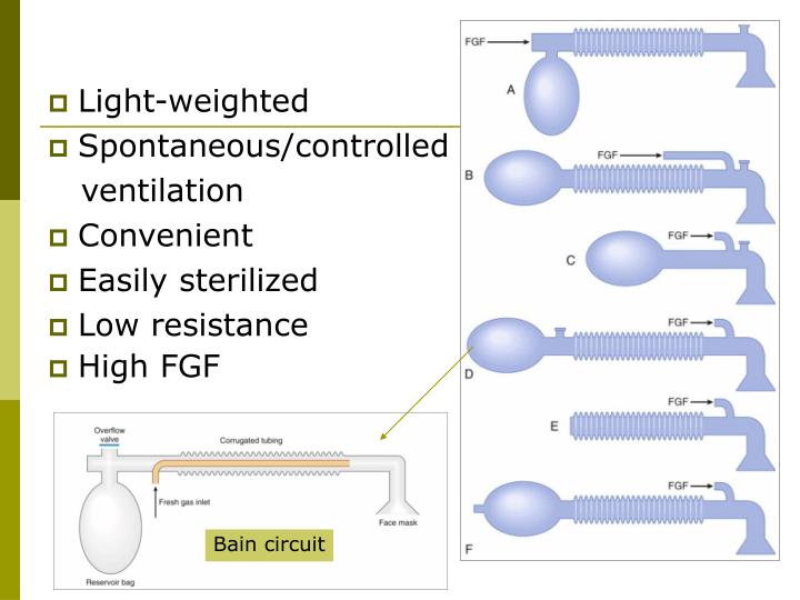PPT - Anesthesia machine and breathing systems PowerPoint Presentation ...