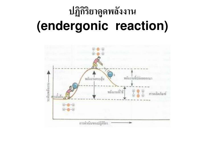 PPT - บทที่ 3 เคมีที่เป็นพื้นฐานของสิ่งมีชีวิต PowerPoint Presentation ...