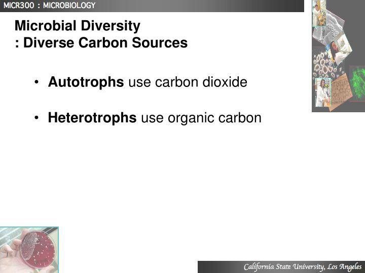 PPT - Lecture 2 Overview of Microbial Diversity Prokaryotic and ...