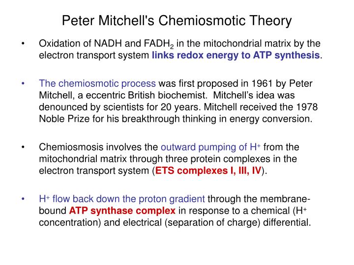 PPT - Electron Transport System: The Chemiosmotic Theory, redox ...