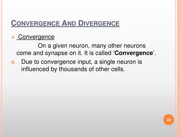 PPT - SYNAPSES AND NEURONAL INTEGRATION PowerPoint Presentation - ID:596883