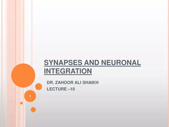 PPT - SYNAPSES AND NEURONAL INTEGRATION PowerPoint Presentation, free ...