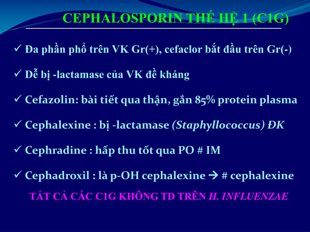 PPT - CEPHALOSPORINE PowerPoint Presentation, free download - ID:597730