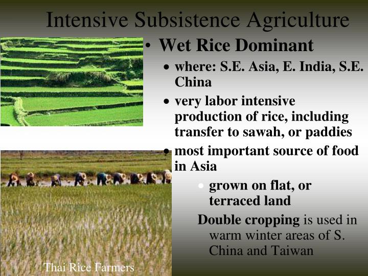 PPT - Agriculture PowerPoint Presentation - ID:598600