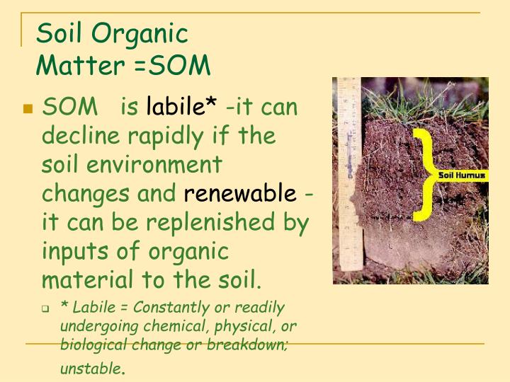 PPT - Lecture 10 a Soil Organic Matter = SOM PowerPoint Presentation ...