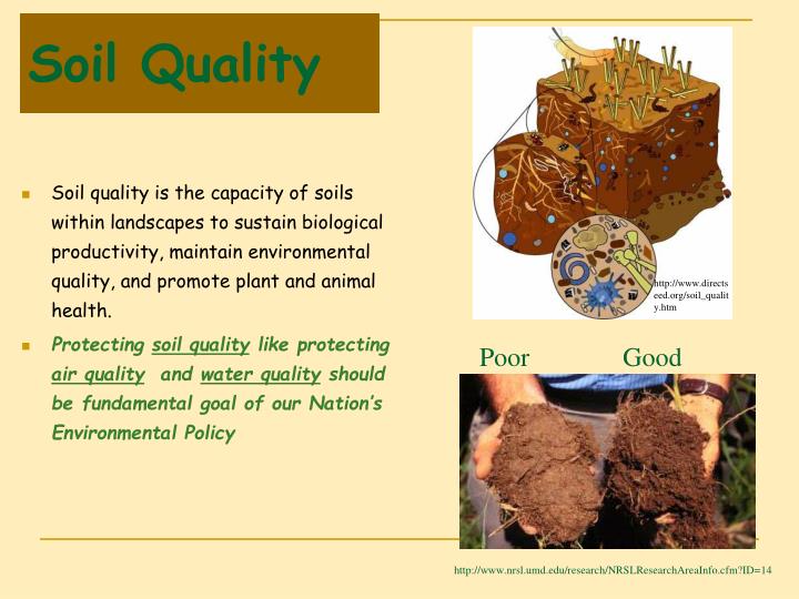 PPT - Lecture 10 a Soil Organic Matter = SOM PowerPoint Presentation ...