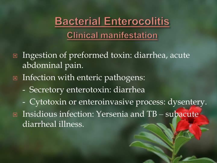 PPT - DISEASES OF SMALL AND LARGE INTESTINE PowerPoint Presentation ...