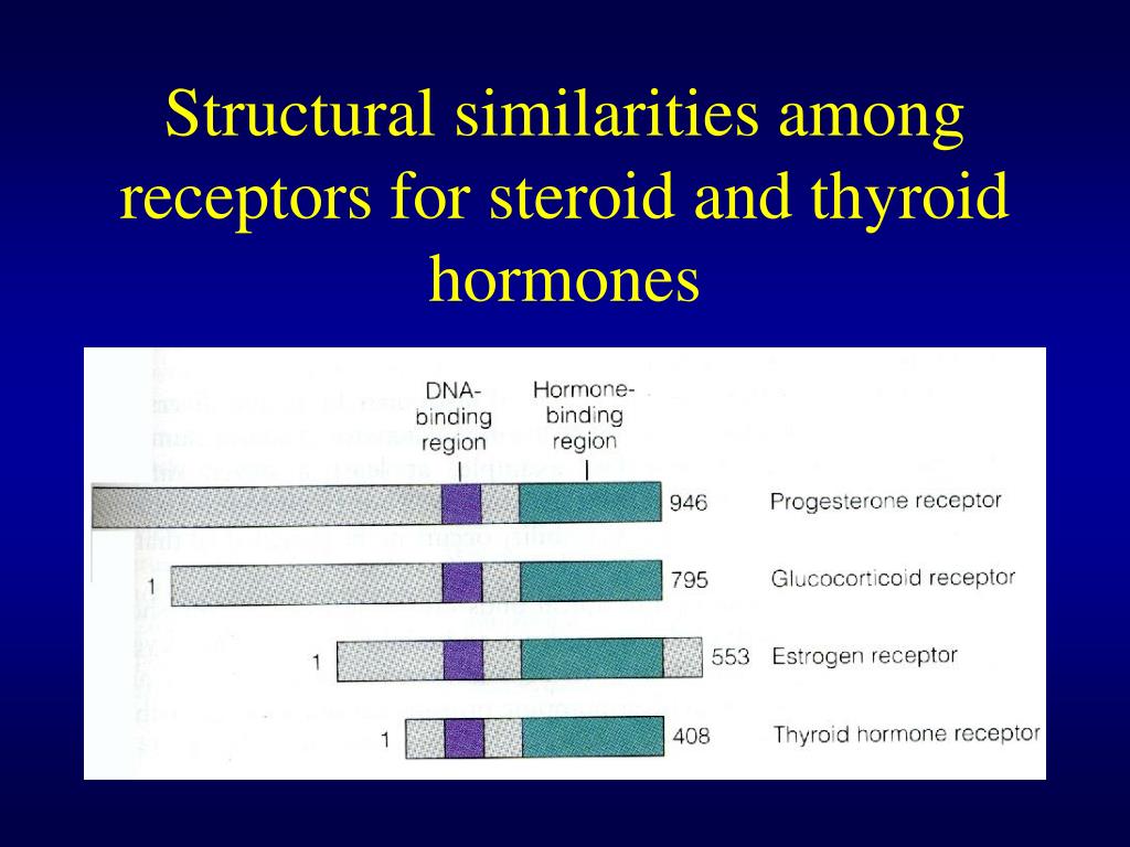 Ppt Biochemistry Of Thyroid Hormones Powerpoint Presentation Free