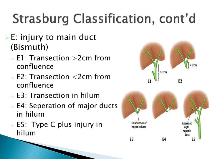 PPT - Biliary Injuries During Laparoscopic Cholecystectomy PowerPoint ...