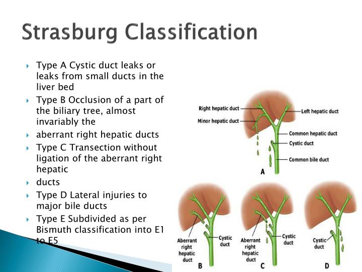 PPT - Biliary Injuries During Laparoscopic Cholecystectomy PowerPoint ...